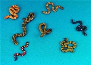 Dead Man's Hand - Snakes (7 snakes) – Gap Games